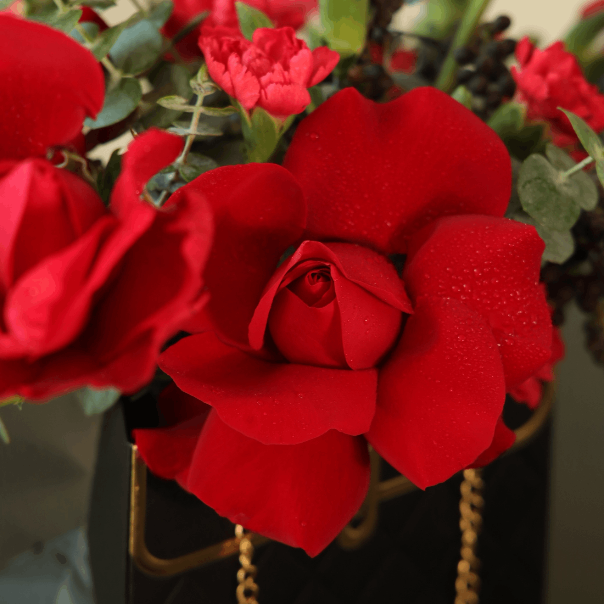 Complicidad - Las Rosas Aurelia